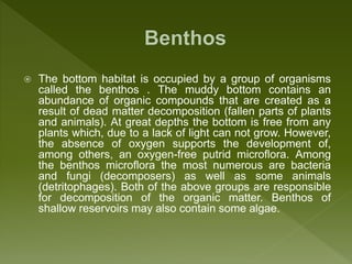 Microbiology of water | PPTX