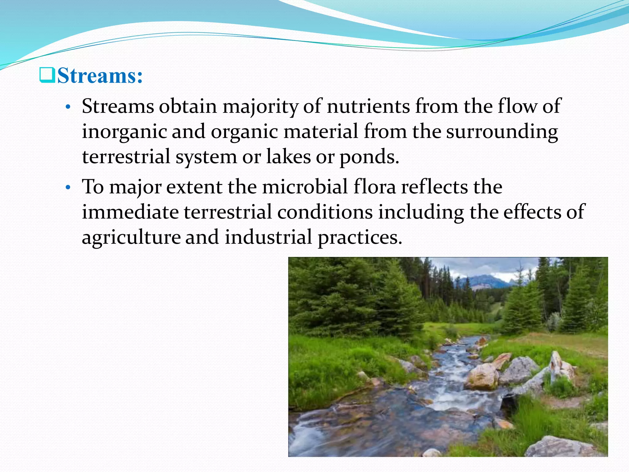 Microbiology of water | PPTX