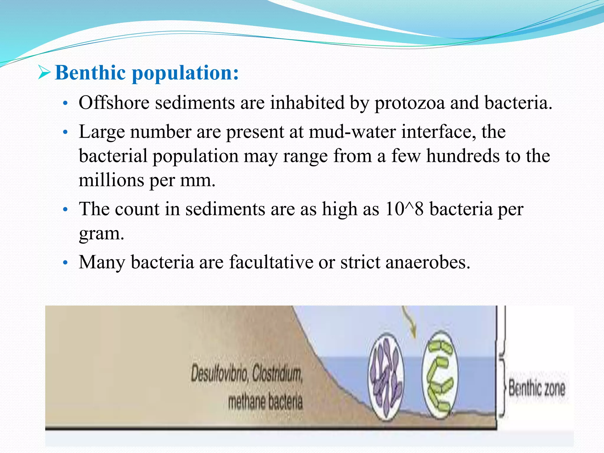 Microbiology of water | PPTX