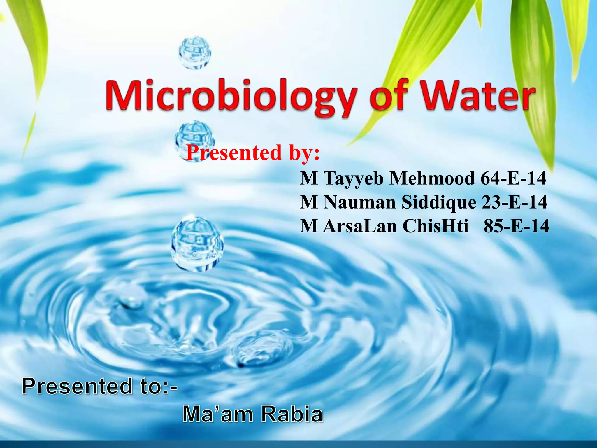 Microbiology of water | PPTX