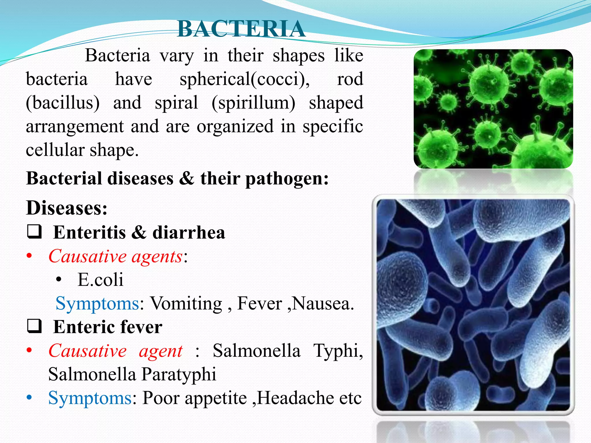 Microbiology of water | PPTX
