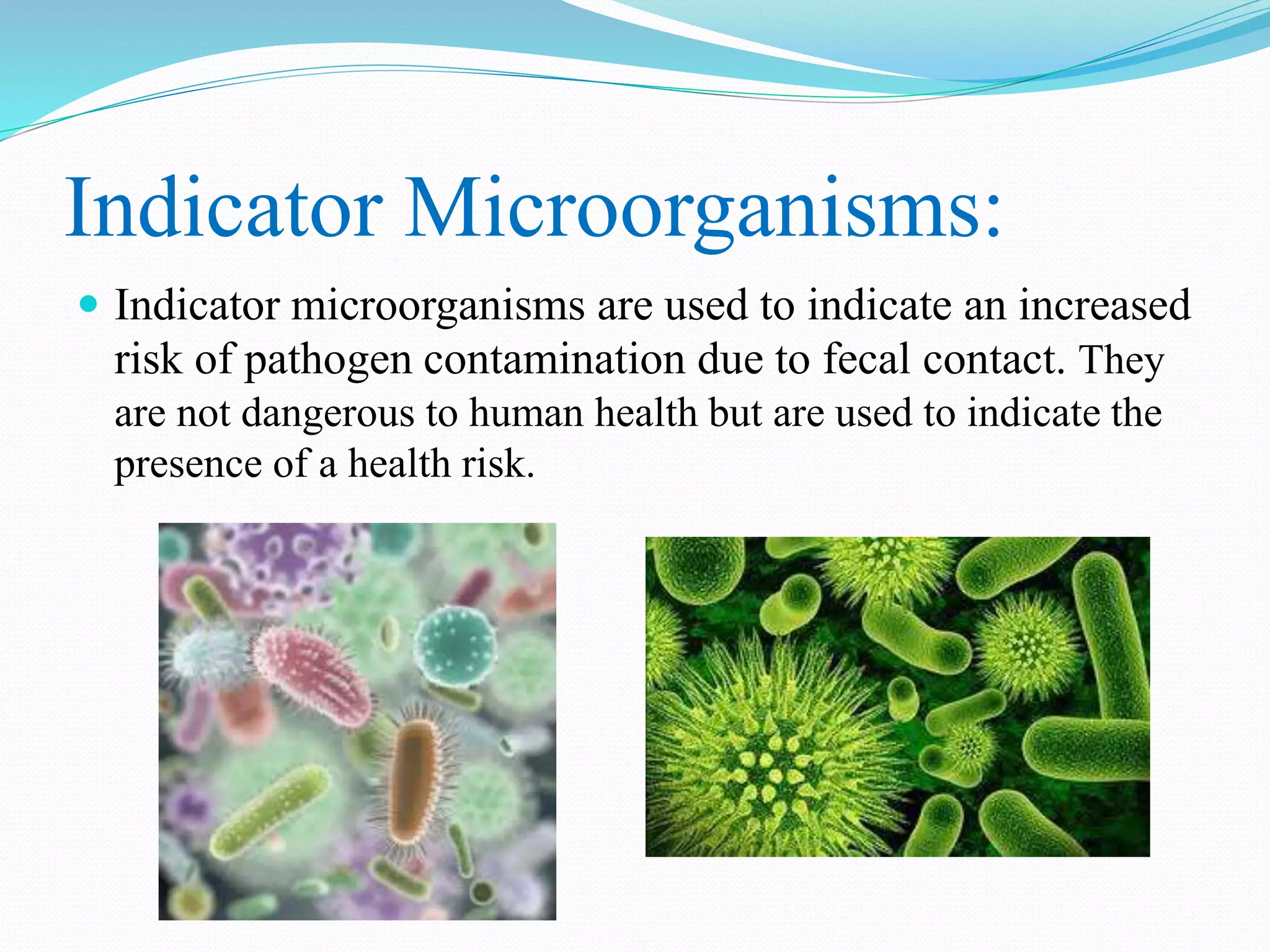 Microbiology of water | PPTX