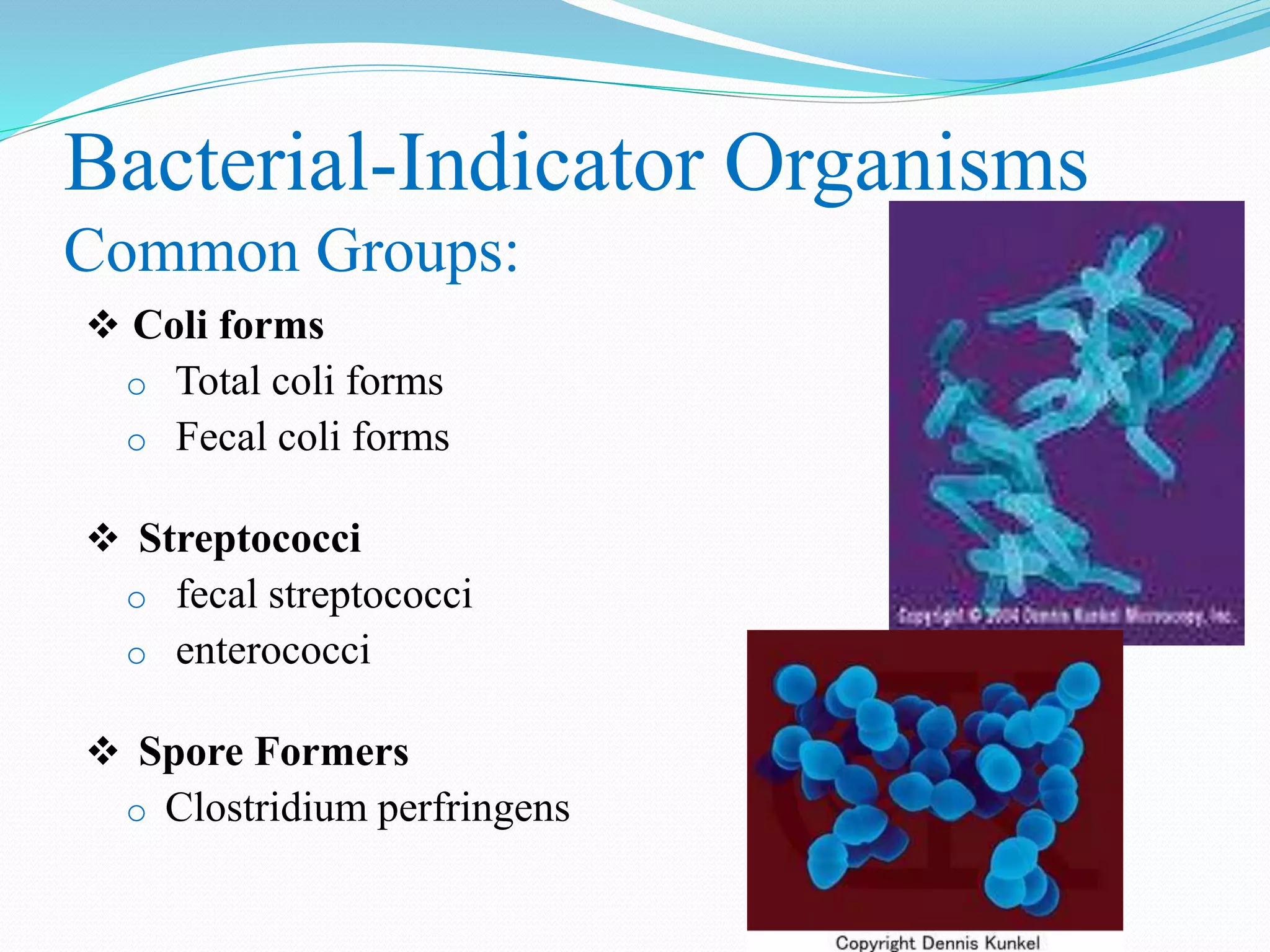 Microbiology of water | PPTX