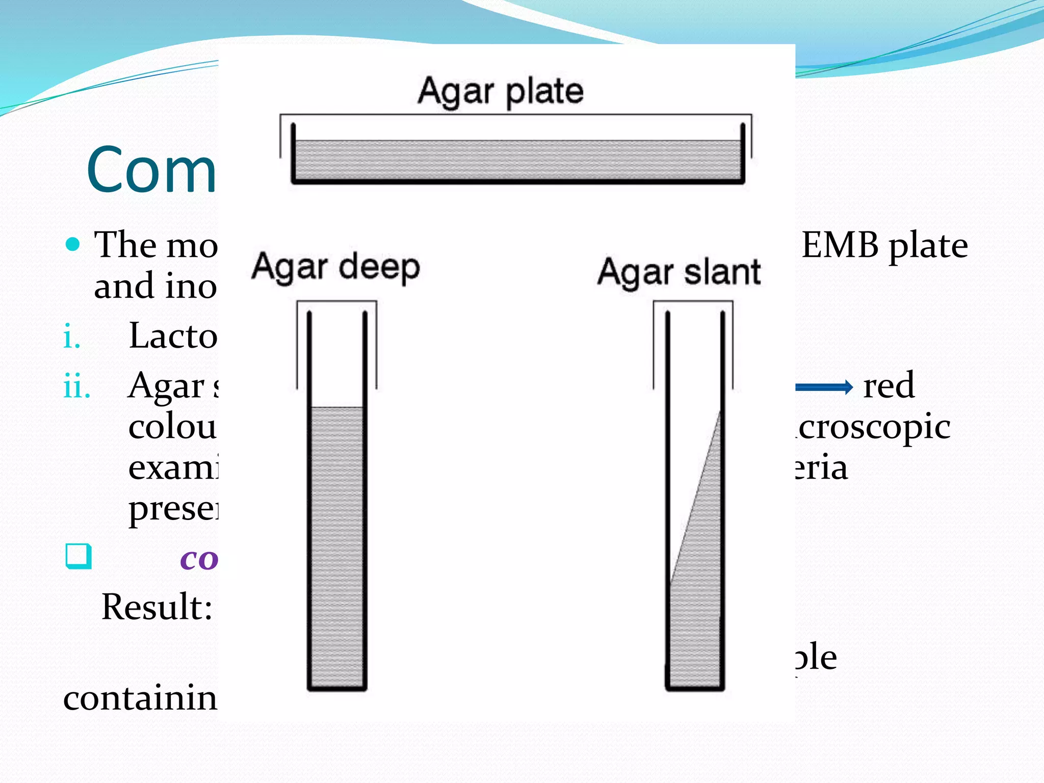 Microbiology of water | PPTX