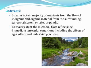 Microbiology of water | PPTX