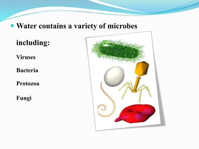 Microbiology of water | PPTX