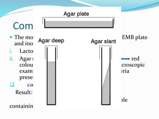 Microbiology of water | PPTX