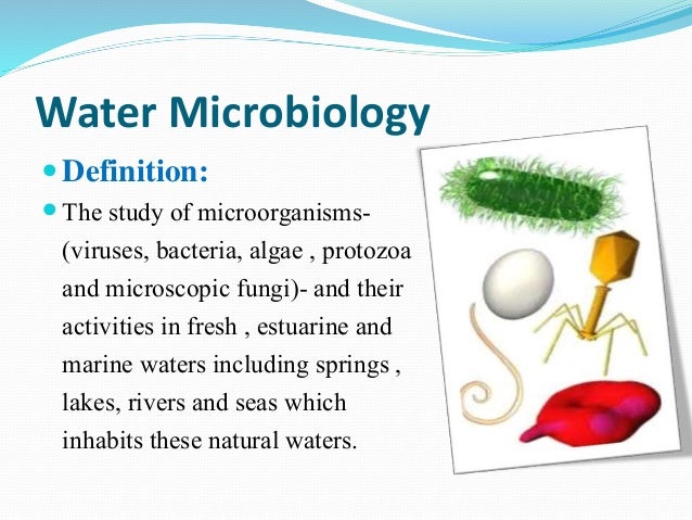 Microbiology of water