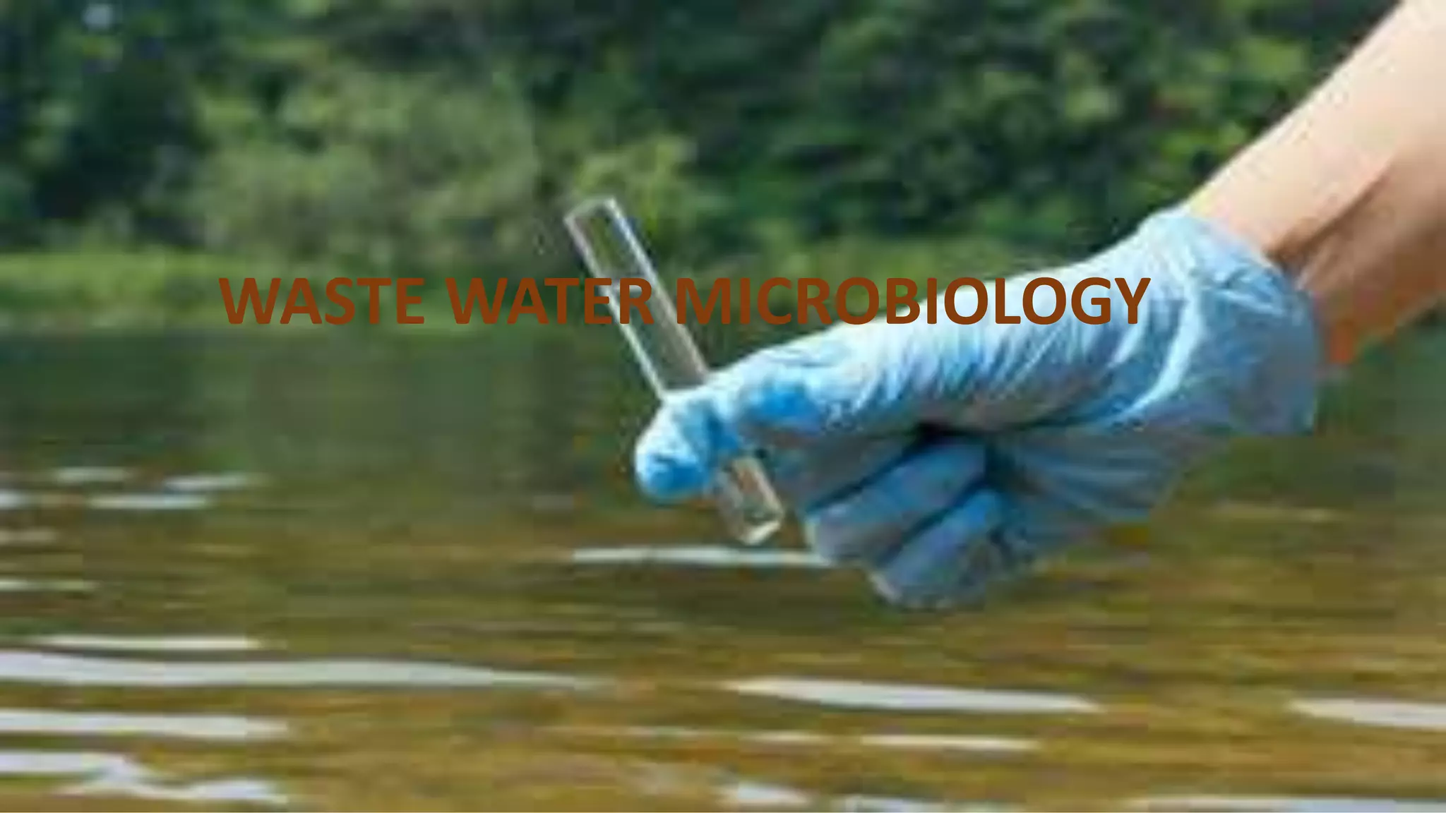 Microbiology of water and wastewater | PPTX