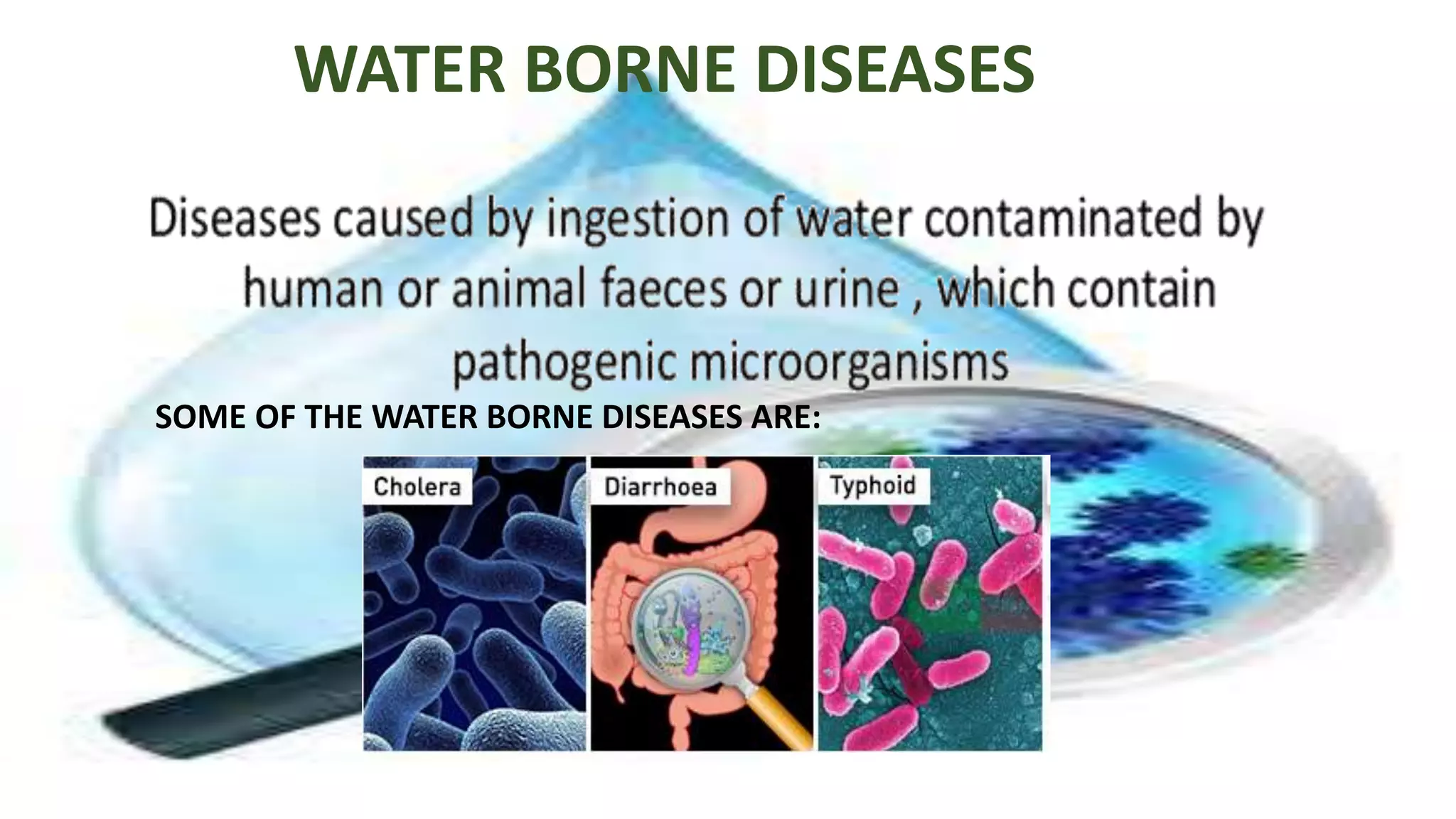 Microbiology of water and wastewater | PPTX