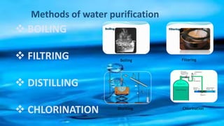 Microbiology of water and wastewater | PPTX