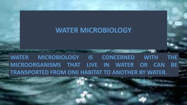 Microbiology of water and wastewater | PPTX