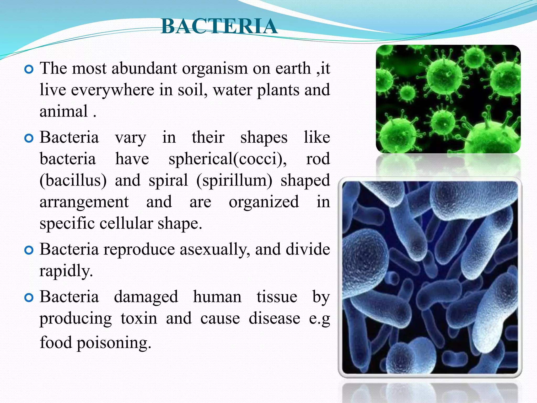 Microbiology of water, soil & air | PPTX