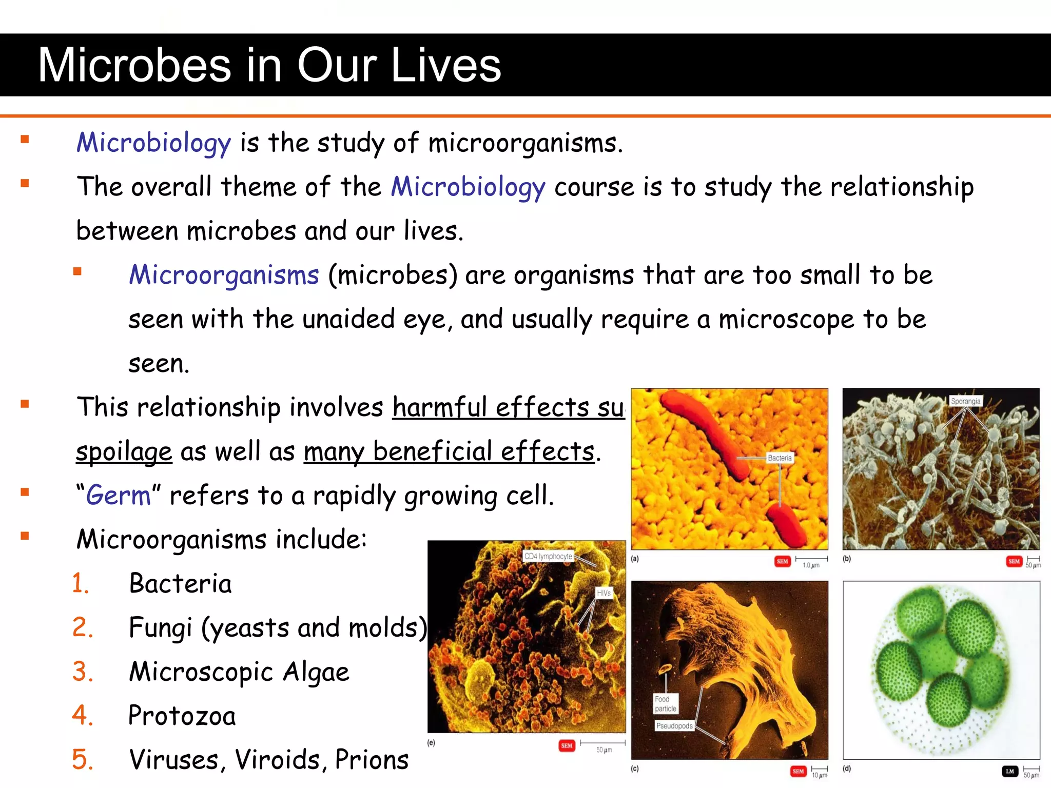 Microbiology overview | PPT
