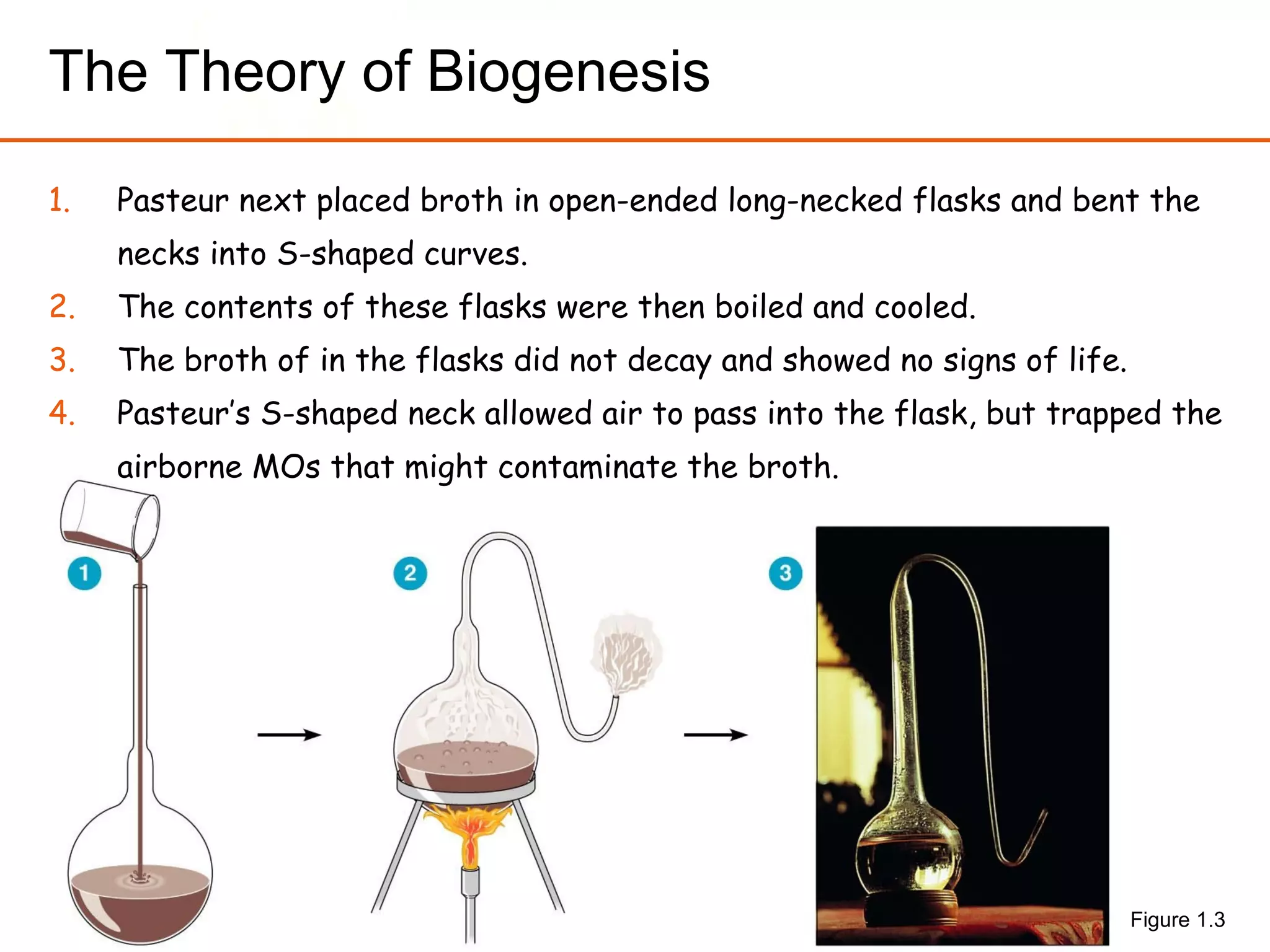 Microbiology overview | PPT