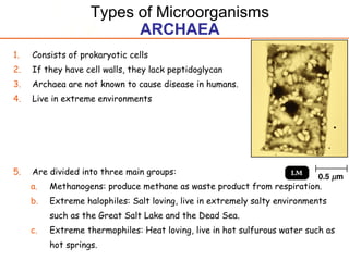 Microbiology overview | PPT