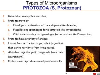 Microbiology overview | PPT