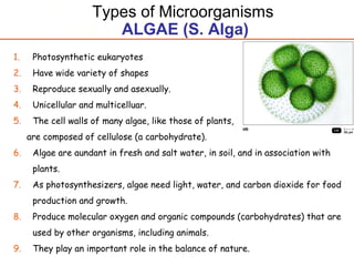 Microbiology overview | PPT