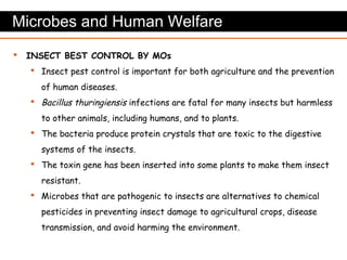 Microbiology overview | PPT