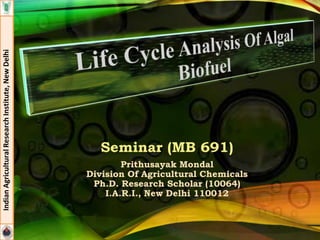 Life Cycle Analysis of Algal Biofuel | PPTX