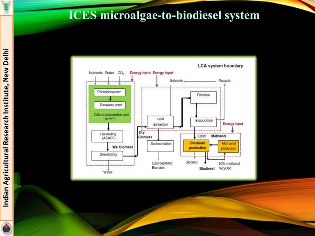 Life Cycle Analysis of Algal Biofuel | PPT