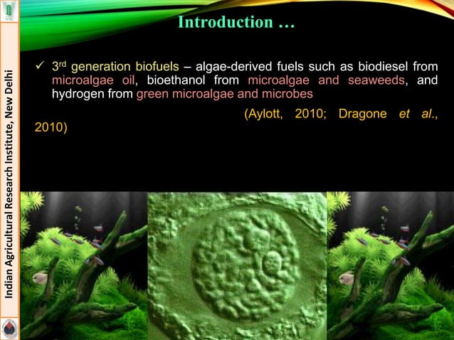 Life Cycle Analysis of Algal Biofuel | PPT