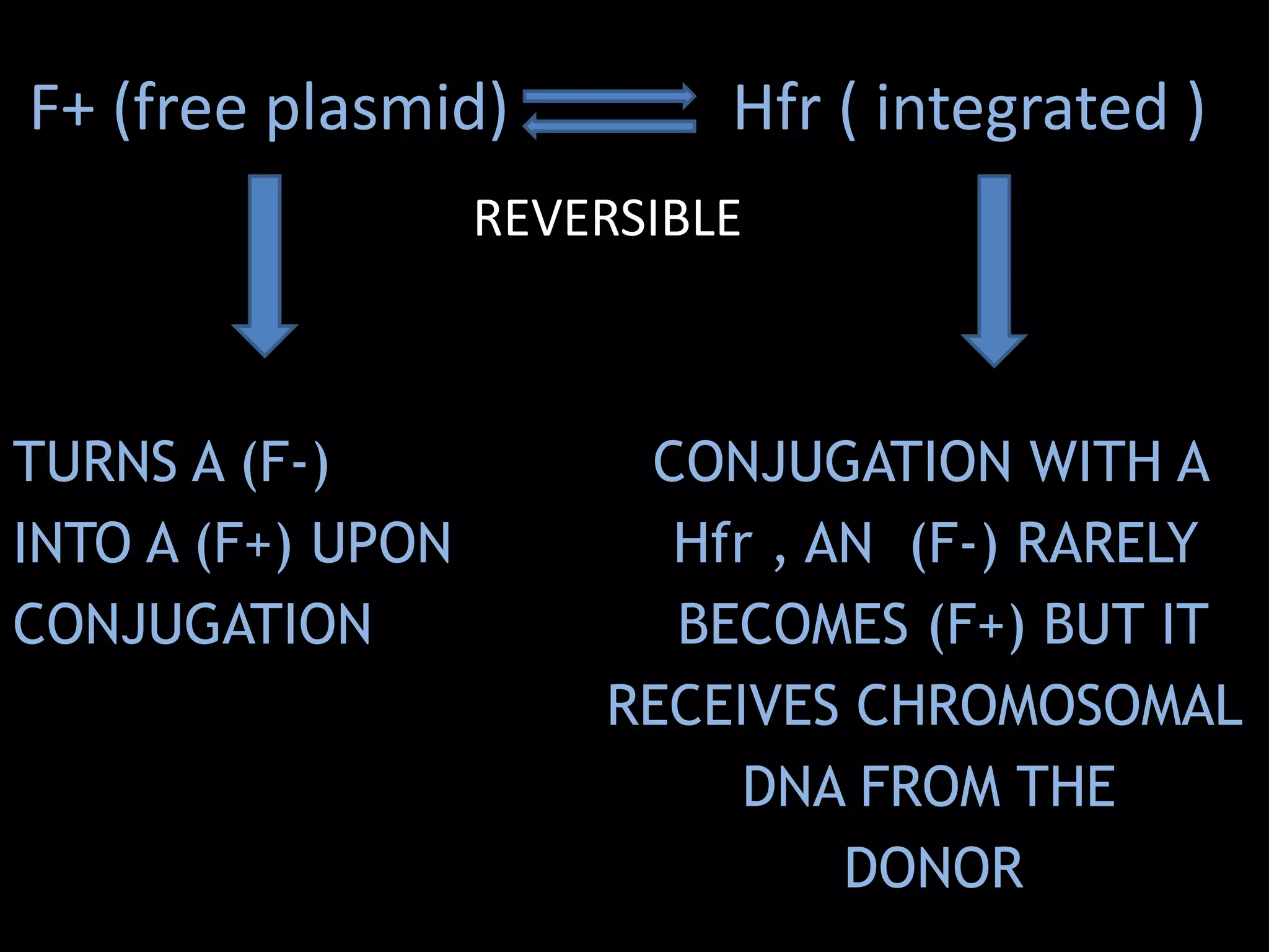 Conjugation Microbiology powerpoint presentation | PPTX