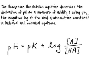 Scientists: Henderson and Hasslebach- A ppt about their life and ...