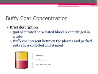 Blood concentration Methods- PBF | PPTX
