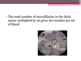 Blood concentration Methods- PBF | PPTX