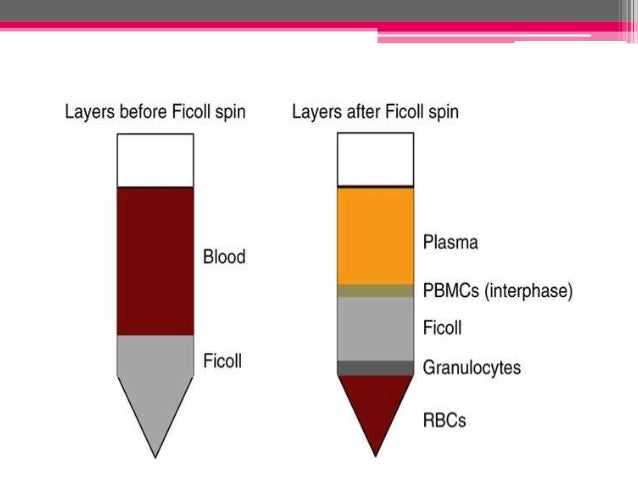 Blood concentration Methods- PBF