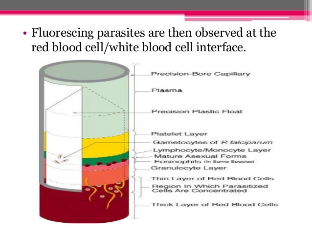 Blood concentration Methods- PBF