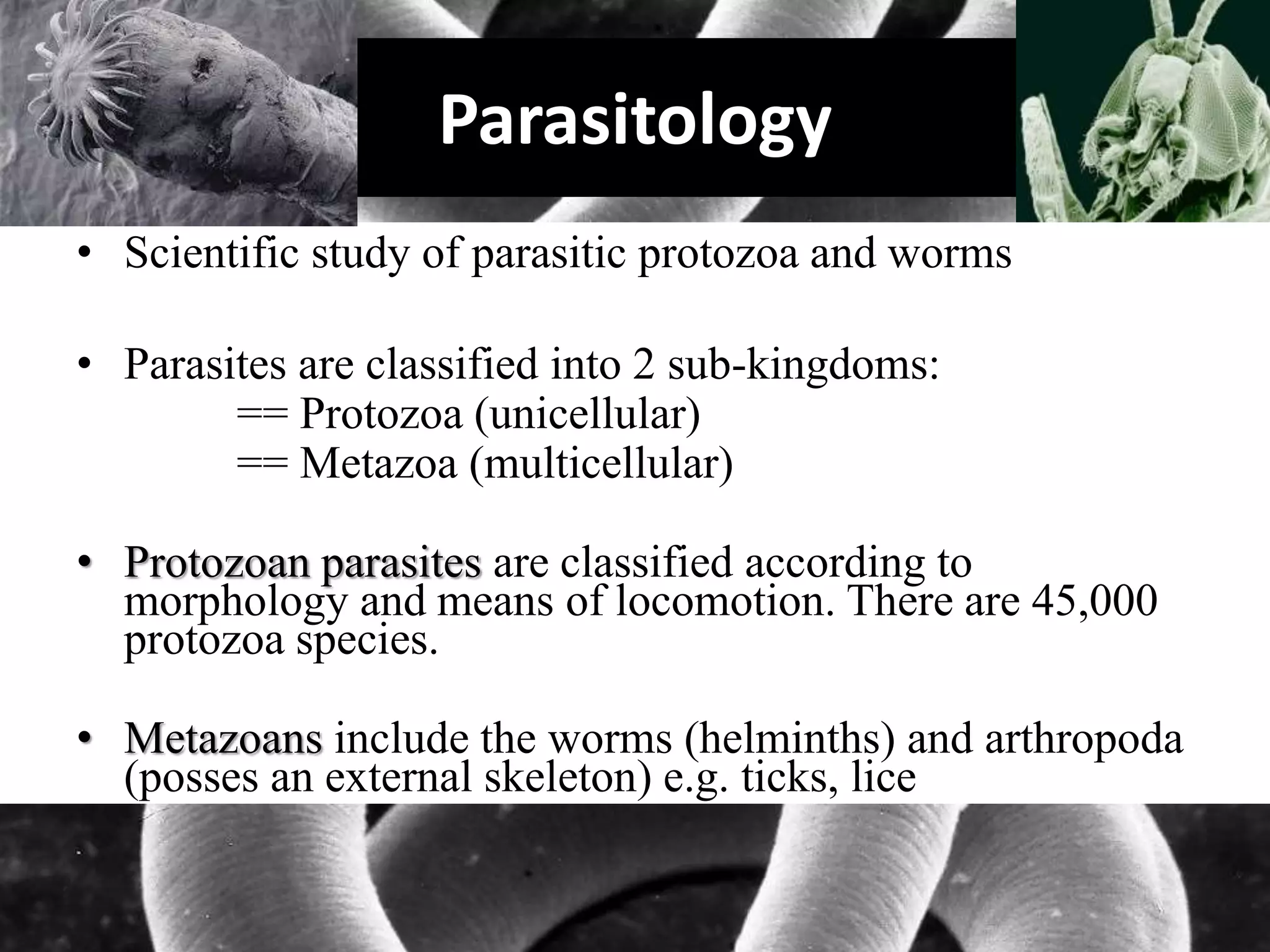 Microbiology ppt | PPTX