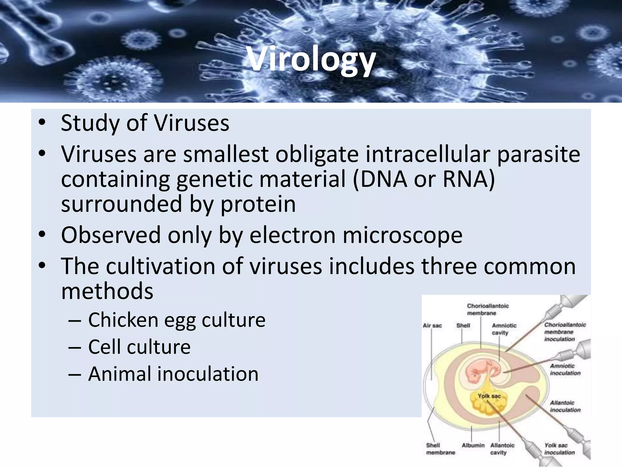 Microbiology ppt | PPTX