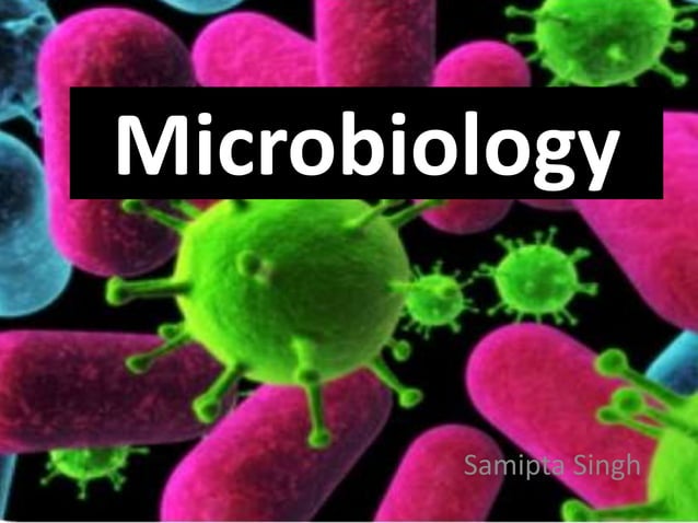 Microbiology ppt | PPTX