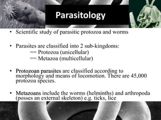 Microbiology ppt | PPTX