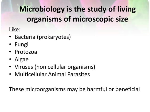 Microbiology ppt | PPTX