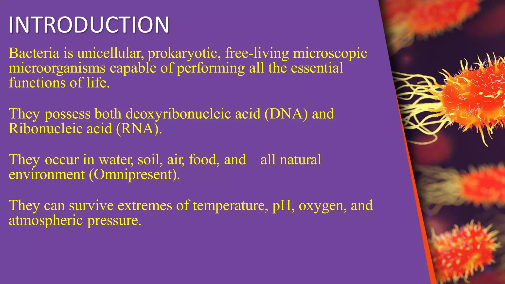Morphology of bacteria | PDF