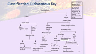 Morphology of bacteria | PDF