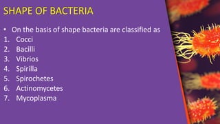 Morphology of bacteria | PDF