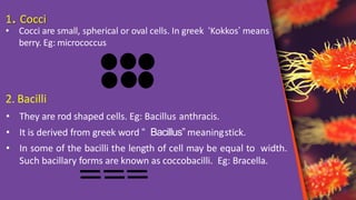 Morphology of bacteria | PDF