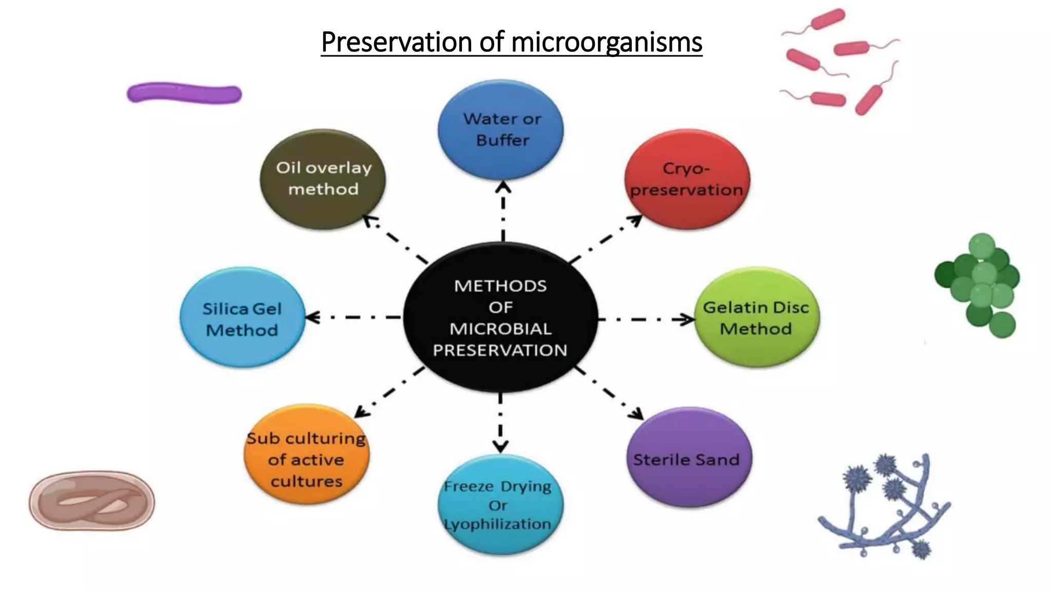 Microbiology ppt | PPT