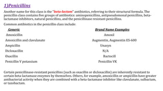 microbiology ppt | PPT