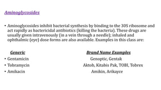microbiology ppt | PPT