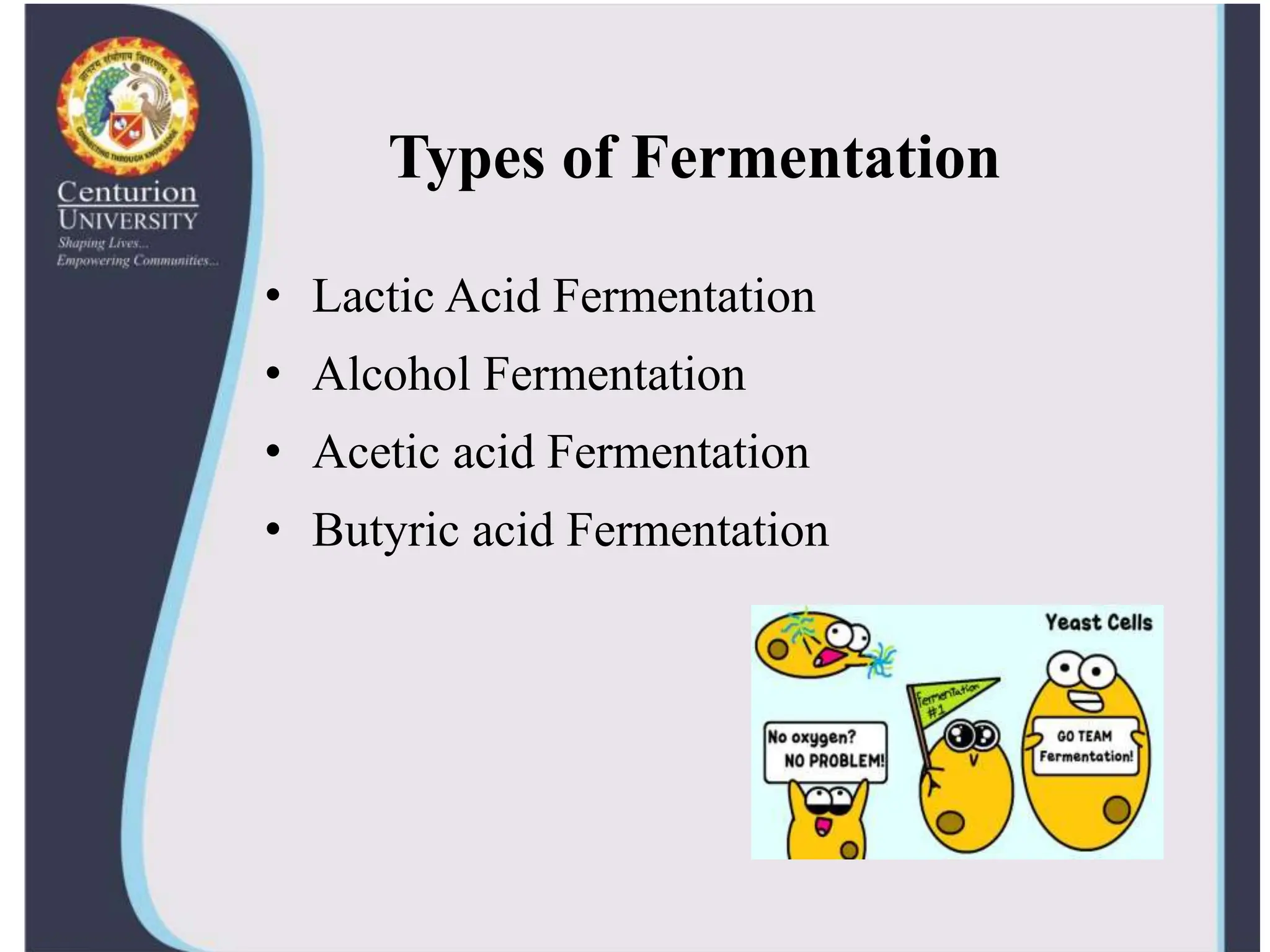 Microbial fermentation role in bacteria. | PPTX