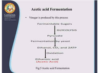 Microbial fermentation role in bacteria. | PPTX
