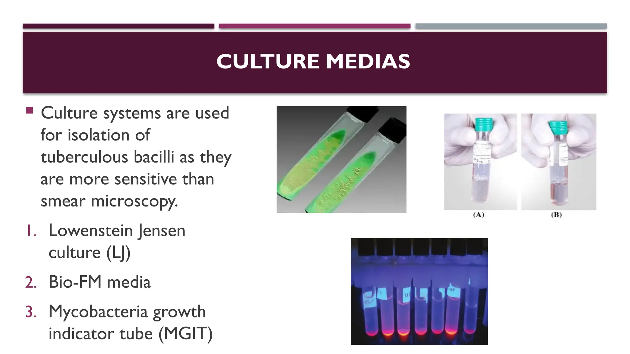 Mycobacteria tuberculosis culture medium | PPTX