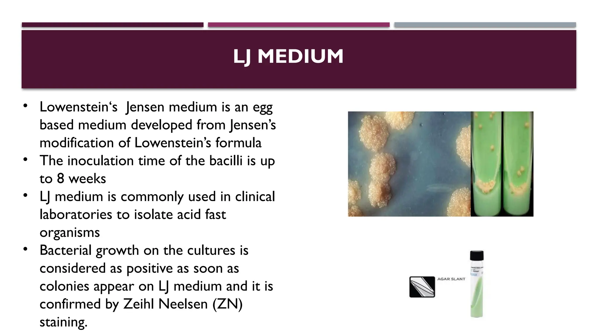 Mycobacteria tuberculosis culture medium | PPTX