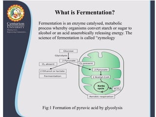 Different types of Fermentation microbiology ppt.pptx