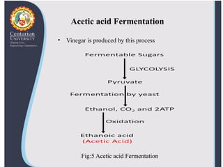 Different types of Fermentation microbiology ppt.pptx